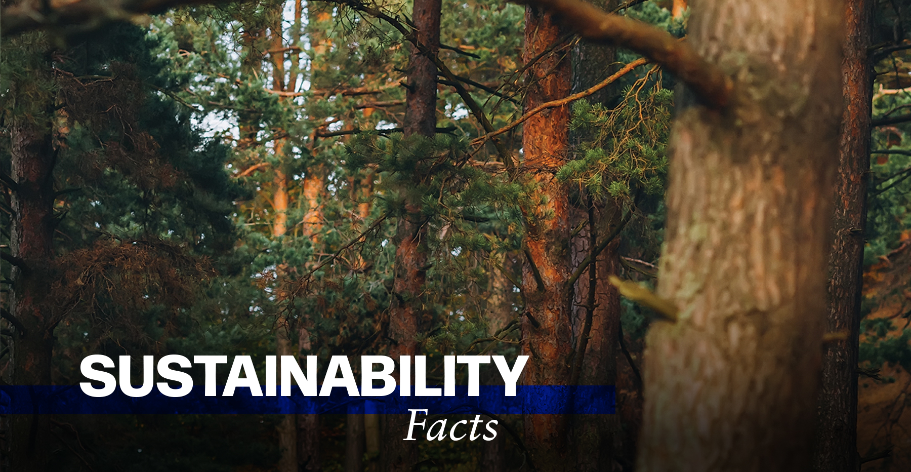 Sustainability Facts - Kingery Printing Company